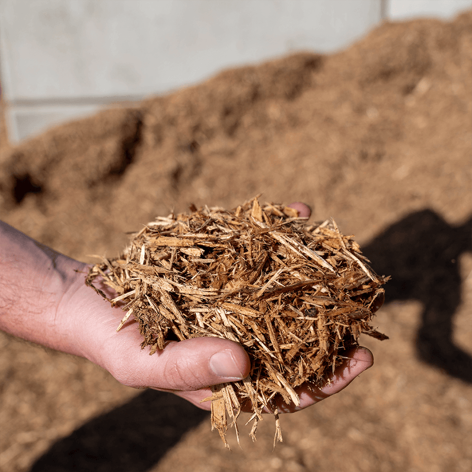 Forest Fines – The Rock Yard Albury/Wodonga